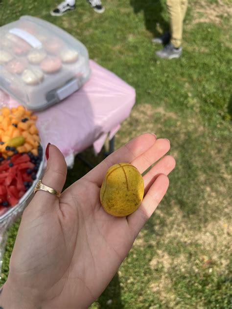 This Mini Mango R Mildlyinteresting