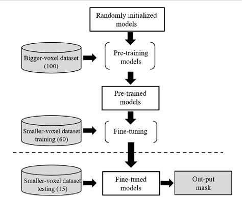 figure 1 from automated segmentation of midbrain structures in high