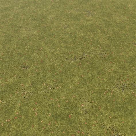 Autumn Leaves Mossy Grass Texture 5263 Lotpixel