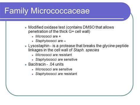 Micrococcaceae Ppt Video Online Download