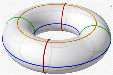 drawing torus in opengl using line strip and not triangulated shaded