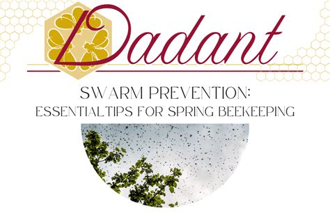Swarm Prevention Essential Tips For Spring Beekeeping Beekeeping