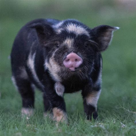 Tyler Halbert Farm Jenny Halbert Farm