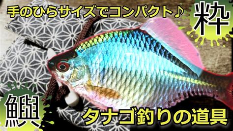 タナゴ釣り手のひらサイズでコンパクト タナゴ釣りの道具紹介 Japanese Micro Fishing for TANAGO