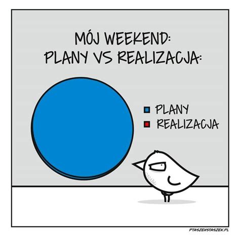 Ptaszek Staszek on Instagram tak było in 2022 Funny Instagram