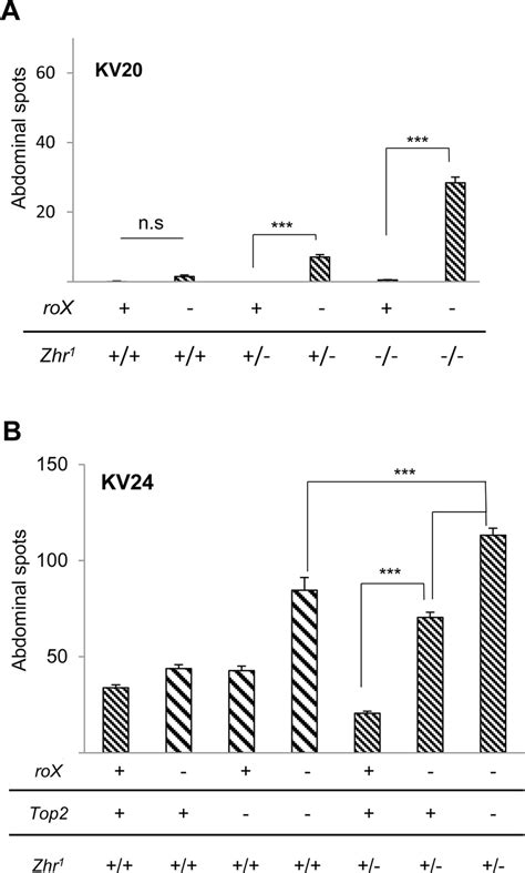 Pericentromeric X Heterochromatin Contributes To Feminization Of