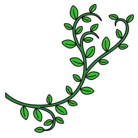 6 A Guide To Draw A Vine Wrapping Around A Branch