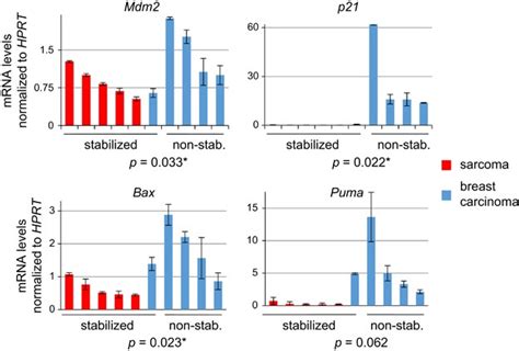 P53 Loss Of Heterozygosity Is A Necessary Prerequisite For Mutant P53