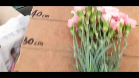 스프레이 생화 인터넷꽃도매시장 생화택배 생화도매 인터넷꽃시장 인터넷꽃도매 장미대량구매 꽃 꽃다발 꽃도매 꽃시장 부산꽃시장 김해꽃시장 꽃쇼핑몰 김해꽃 부산꽃 꽃싸게사는법