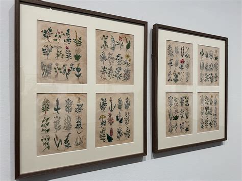 精密に描かれたリンゴ、イチゴ、ざくろsompo美術館で「おいしいボタニカル・アート」展 ニュース アイエム インターネットミュージアム