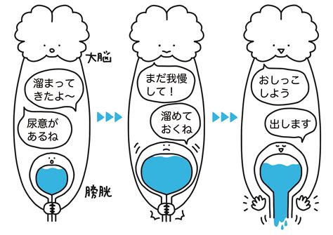 《連載ドクターズ・リレー》2022年8月号 岡田百合香先生「泌尿器科ってどんな病気を診るの？」│コカネット
