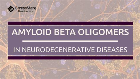 Amyloid Beta Oligomers Effects On Neurodegeneration