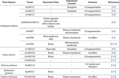 Genes Encoding Atp Binding Cassette Abc For Cd Transport In Plants