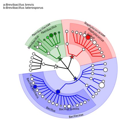 Home · Biobakery Graphlan Wiki · Github