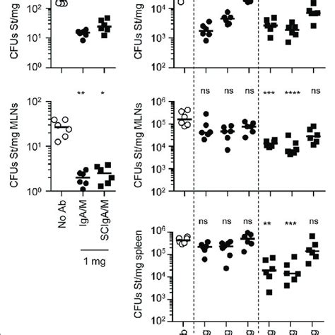 Reduction Of Salmonella Enterica Typhimurium Strain Sl1344 St Entry