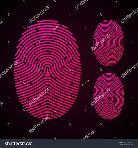 Types Fingerprint Patterns Vector เวกเตอร์สต็อก ปลอดค่าลิขสิทธิ์ 181189703 Shutterstock