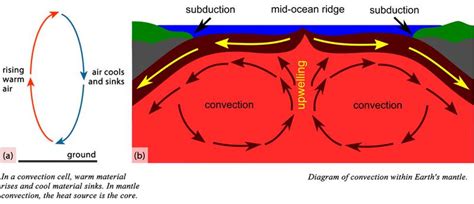 Convection Cell
