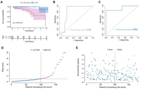 A Simple To Use Web Based Calculator For Survival Prediction In