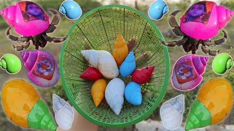 Mencari Kelomang Siput Pelangi Keong Warna Warni Youtube