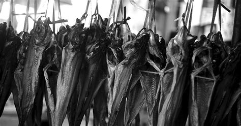 비타민 건빵 등잔불까지 하나도 버릴 게 없는 생선