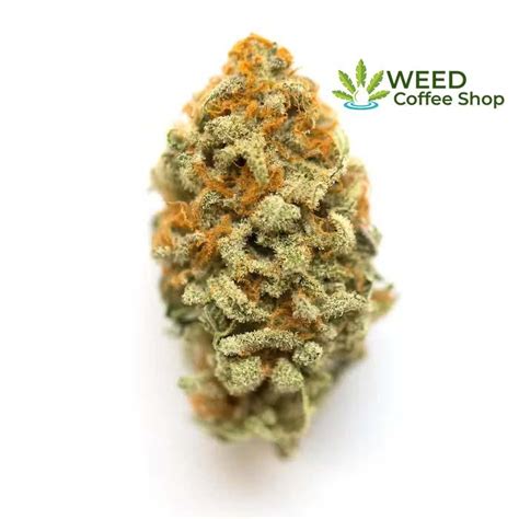 Buy Royal Cookies Weed Online Royal Cookies For Sale Weed
