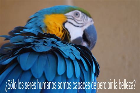 Concurso de fotografía filosófica de Navarra Sólo los seres humanos