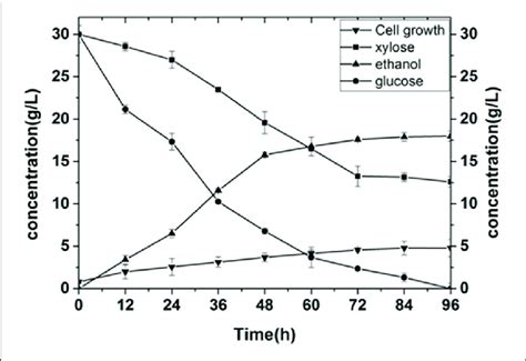 Fermentation Of The Wild Type Strain Download Scientific Diagram