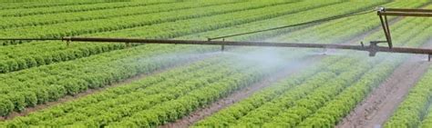 Precision Spraying Systems In Agriculture