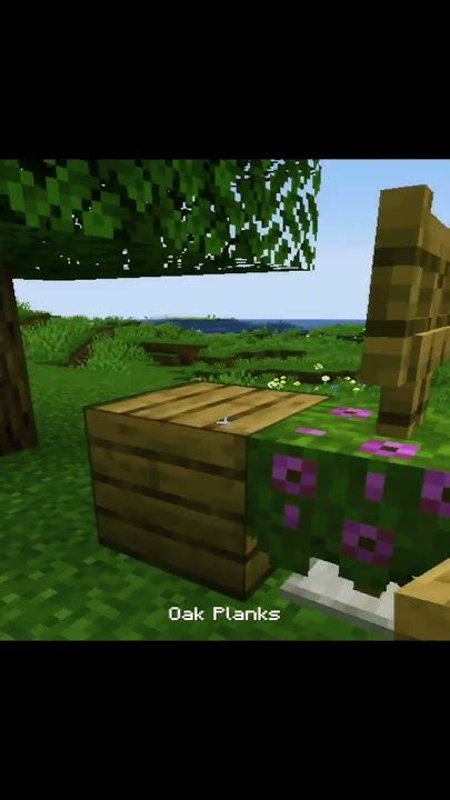 Minecraft Build Tricks Shots Youtube