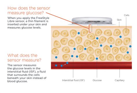 How Does Freestyle Libre Work Amazing Features Explained