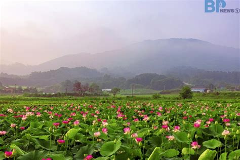 인파에 치이는 여행은 이제 그만 한적하게 걷기 좋은 산책 명소 2곳 여행탐구