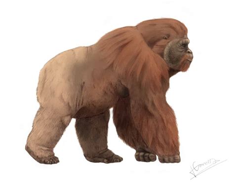 Gigantopithecus Diet Revealed