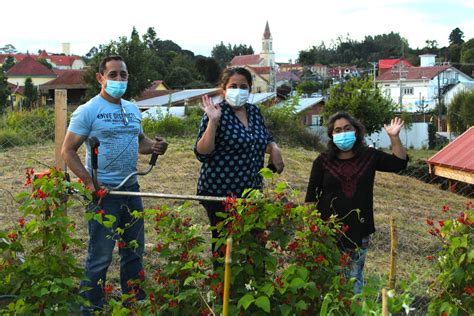 Medio Ambiente