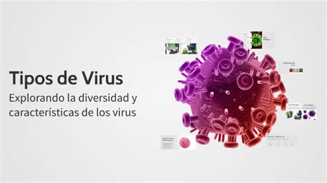 Tipos De Virus De By Sexta Generacion On Prezi
