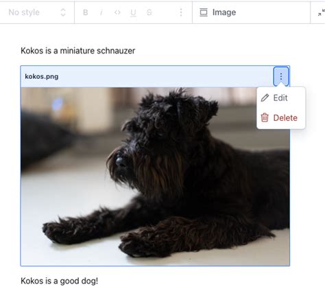 Configure The Portable Text Editor Sanity Docs