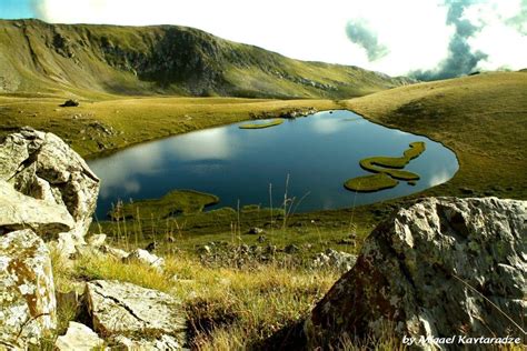 ლაგოდეხის ნაკრძალის ფერადი ფლორა National Parks Georgia Country