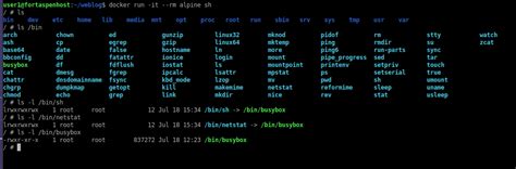 using alpine linux with docker fortaspen