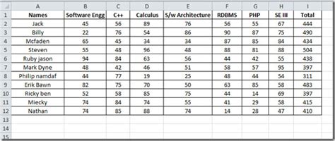 Guide On Excel 2010 Data Bars