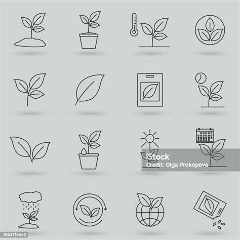 식물 관련된 벡터 라인 아이콘의 간단한 세트입니다 한편 성장 조건 Leafs 등 잎으로 같은 아이콘을 포함 되어 있습니다 심볼