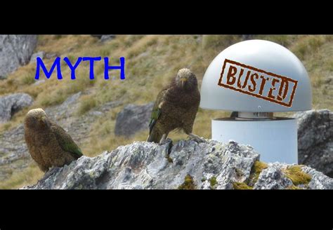 4 Seo Myths Busted By Yasir Khan Quantum Seo Labs