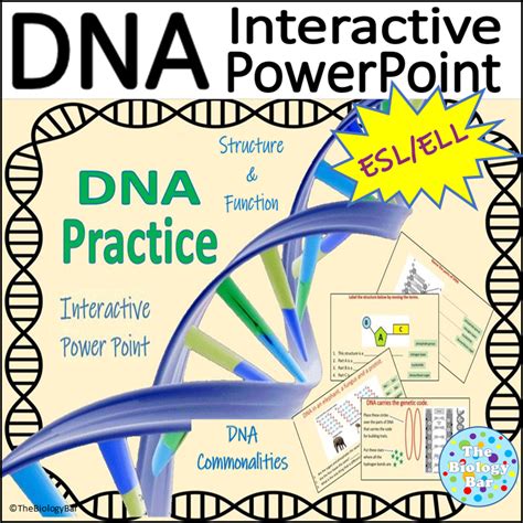 ESL Biology DNA Structure Interactive PPT For Spanish Speakers Made By Teachers