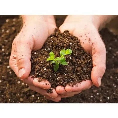 Soil Testing Soil Testing Services Manufacturer From Raigad Soil Testing Soil Testing Services Manufacturer From Raigad