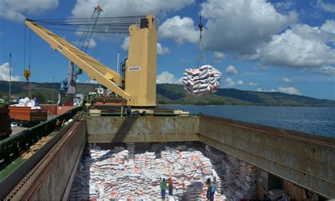 Bapanas Sepanjang 2023 Indonesia Impor Beras Lebih Dari 2 Juta Ton