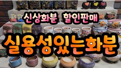 신상화분 할인판매 실용성있는화분 Youtube