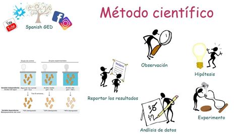 Pasos Del Método Científico Youtube