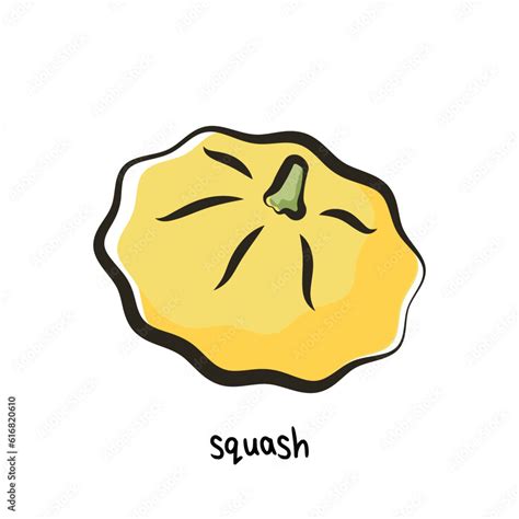 Yellow Squash Icon In Cartoon Flat Style With Outline Squash Isolated
