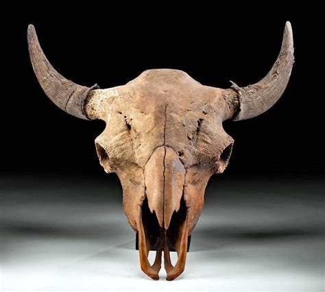 Sold At Auction Large Fossilized North American Bison Skull American