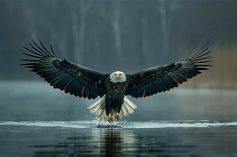 Eagles Dominion Reigning Over The Wilderness Ar C Premium AI