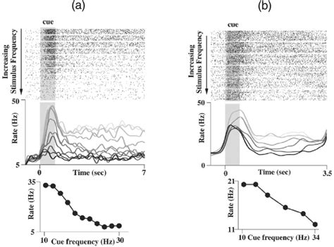 Sustained Delay Activity Of Prefrontal Cortical Neurons Recorded From