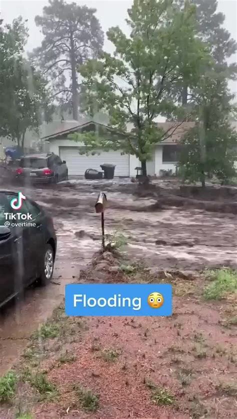 Tiktok Flooding Ifunny